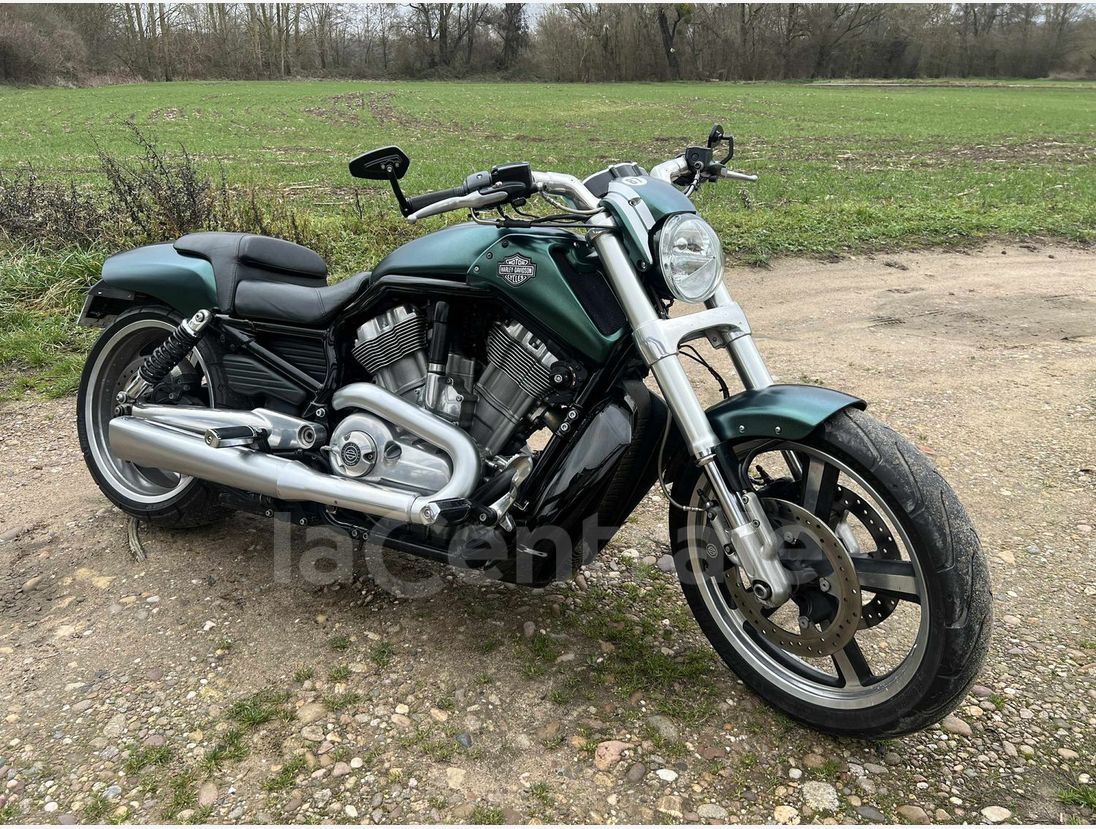 Annonce Harley davidson night rod special 1250 2015 occasion - Meurthe ...